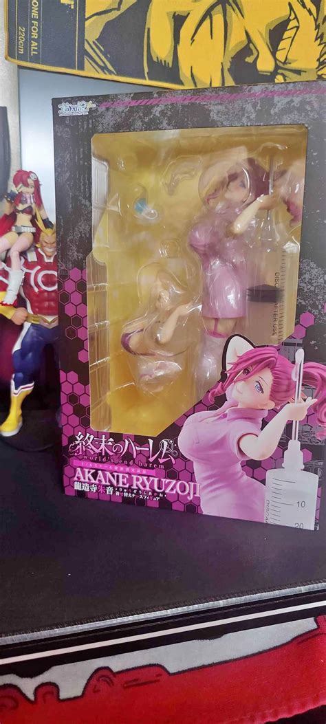 Worlds End Harem Akane Ryuzoji 16 Scale Dolls Las Piñas