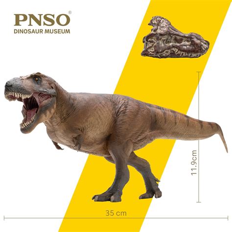 Pnso Cameron The Tyrannosaurus Rex Everything Dinosaur