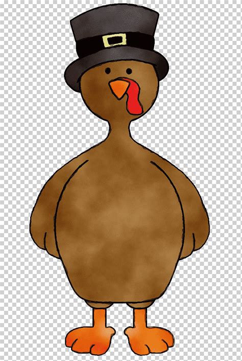 추수 감사절 칠면조 그림 치킨 칠면조 고기 새 만화 날지 못하는 새 부리 오리 Png Klipartz