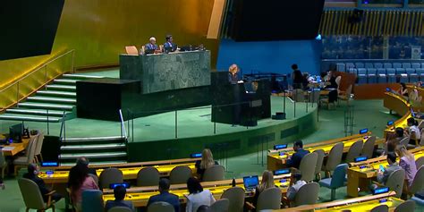 Summary Of The 2024 Un General Assembly Plenary Meeting On The