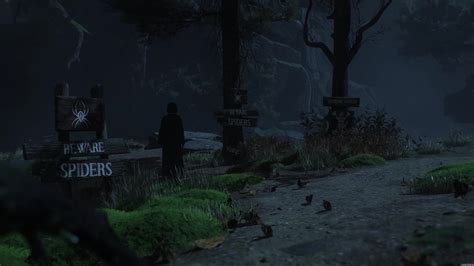 Hogwarts Legacy Lhéritage De Poudlard Steam Paulpliokj