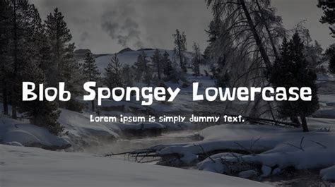 Blob Spongey Lowercase Font Download Free For Desktop And Webfont