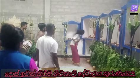 ශිවකාලි දේවාලය කුරුණෑගල පොල්පිතිගම ගල්ගමුව 0777348069🕉️🙏 Youtube