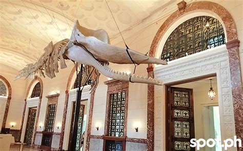 National Museum Of Natural History