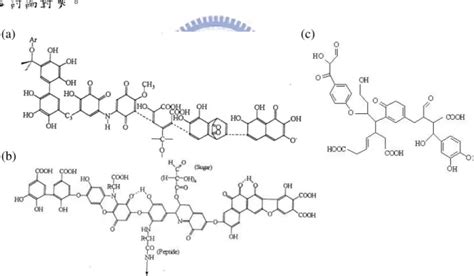 薄膜孔徑與材質 薄膜物理特性及積垢型式 文獻回顧 鈣離子對uf薄膜有機積垢之影響