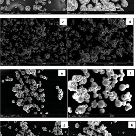 Microstructure Of Four Different Formulations Of Microcapsules With