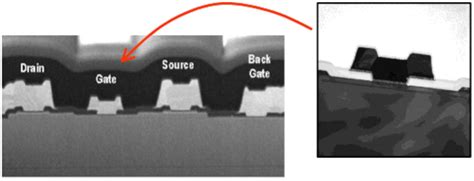 Sem Photograph Of T Gate Bifet Device With 1µm Gate Length Two Download Scientific Diagram