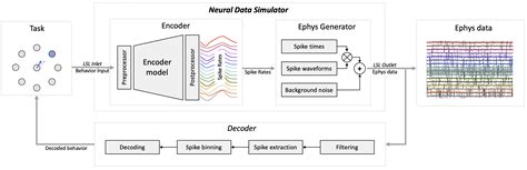 Github Egealtan Neural Data Simulator Ae Electrophysiology Data