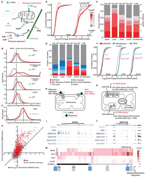 Atlas Of Subcellular Rna Localization Revealed By Apex Seq Pmc