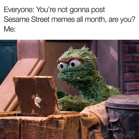 30 Funny Sesame Street Memes Packed With Nostalgia So You Dont Forget
