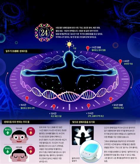 재미있는 과학 빛 없어도 우리 몸은 24시간 주기로 수면·각성 반복 프리미엄조선