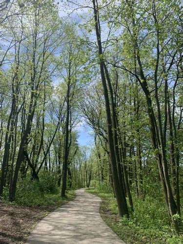 Best Forest Trails In Oak Creek Alltrails