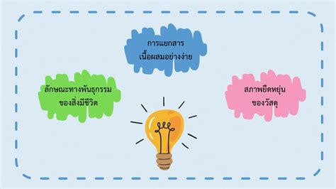 Altv ช่อง 4 วิทยาศาสตร์ ลักษณะทางพันธุกรรมและการแยกสารเนื้อผสม