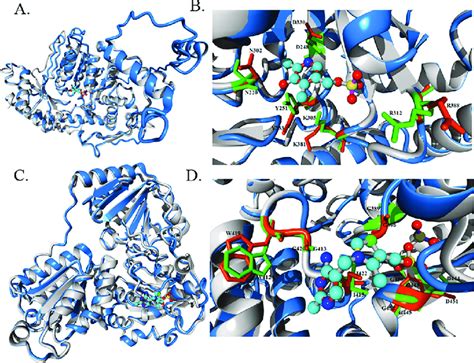 Structural Alignment And Characterization Of Ligand Binding Sites Of