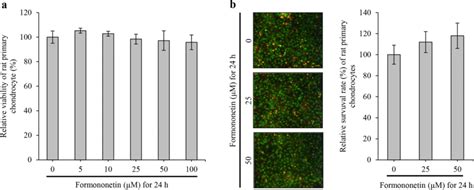 Formononetin Does Not Affect The Viability Of Primary Rat Chondrocytes