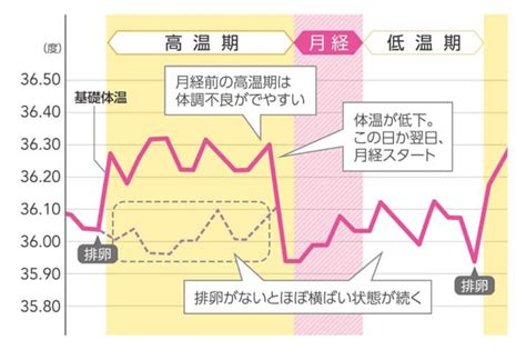 試合と重なりそうな生理に不安 「次いつ始まるか」を予測する基礎体温の正しい知識 The Answer スポーツ文化・育成＆総合ニュースサイト