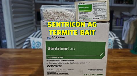 Termite Control Sydney Termite Treatment Specialists☎️ 1300243377