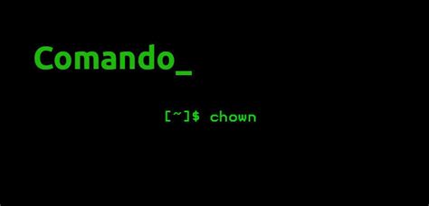 Chown Wat U Moet Weten Over Dit Machtigingscommando