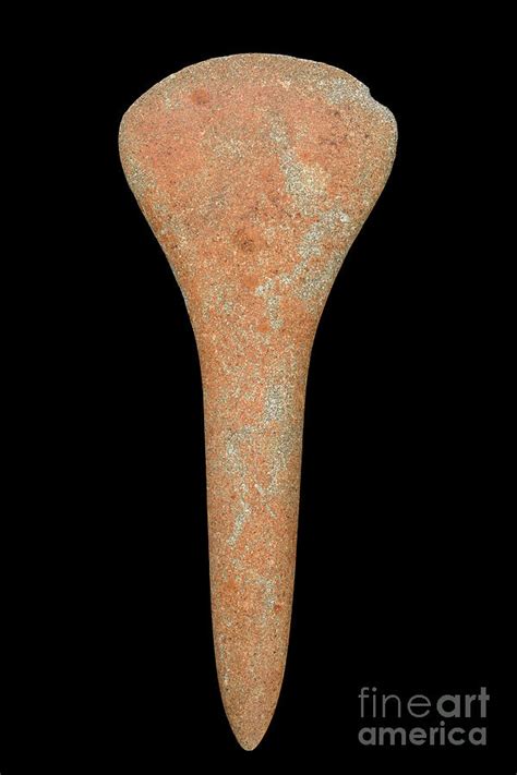 Spatula Axe Photograph By Pascal Goetgheluckscience Photo Library
