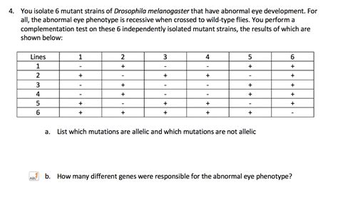 Solved You Isolate 6 Mutant Strains Of Drosophila Chegg