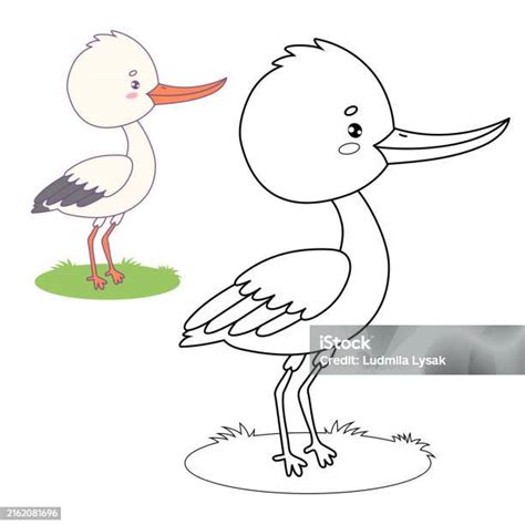 귀여운 황새 고립 된 재미있는 만화 Kawaii 새 캐릭터 선과 색깔 그리기 색칠 공부 책 벡터 일러스트 레이 션 키즈 컬렉션