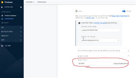 Flutter 오류 Flutter Clientid Not Set Either Set It On A Tag Or Pass
