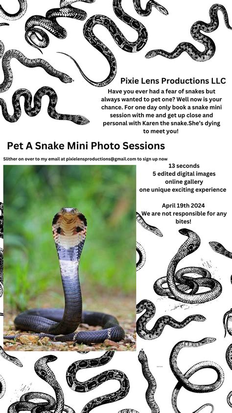 Pixie Lens Productions Llc Pixie Lens Productions Llc