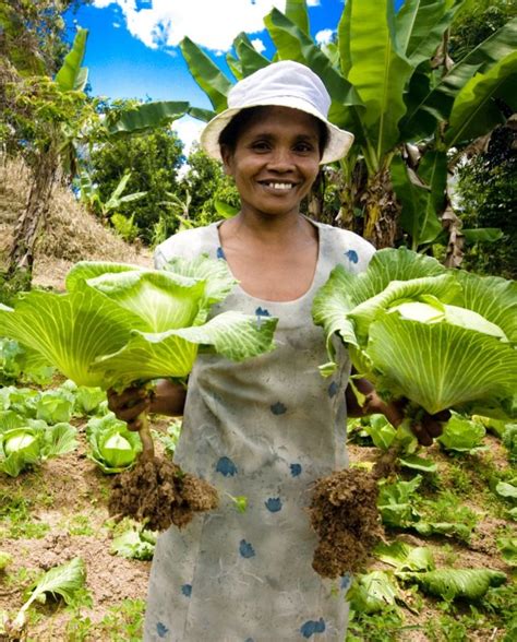 Our Team Aotea Global