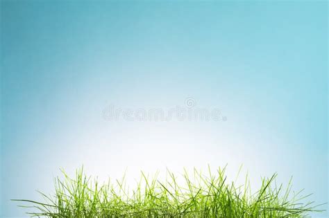 Blue Sky With Green Grass In The Foreground Stock Image Image Of