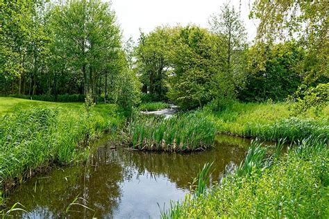 Landgoed And Golfbaan Tespelduyn Golf And Travel De