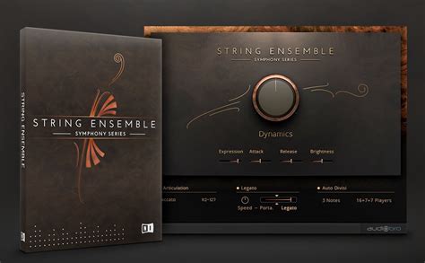 string ensemble native instruments string ensemble audiofanzine