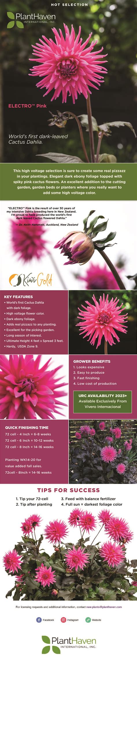 Hot Selection Planthaven International