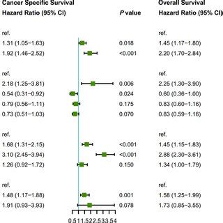 Forest Plot For Multivariable Cox Regression Analysis Of CSS And OS