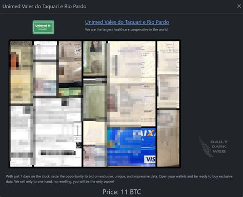 Rhysida Ransomware Group Targeted Vtrp Compromising Sensitive Patient