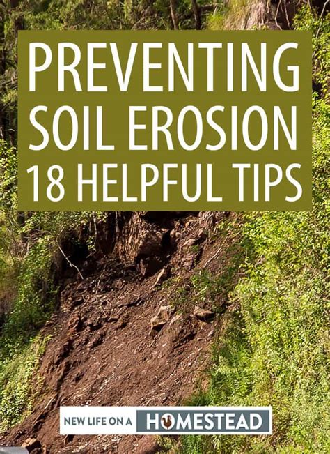 Preventing Soil Erosion 18 Helpful Tips