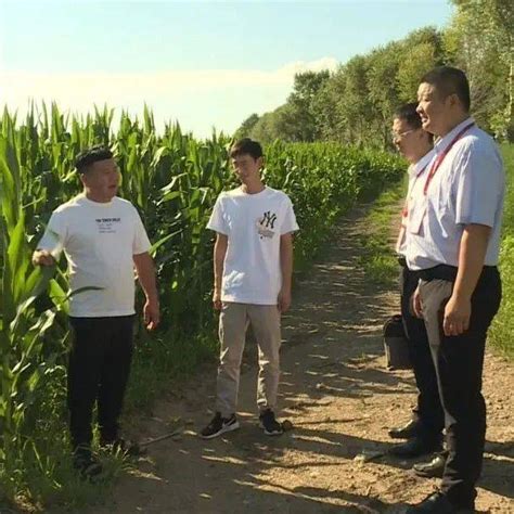 莫旗农村信用合作联社：践行普惠金融 服务乡村振兴企业经营王振