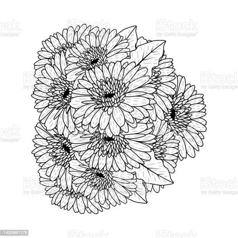 Gerbera 데이지의 아름다운 꽃 색칠 공부 페이지 드로잉은 라인 아트의 벡터 그래픽에 자세히 설명되어 있습니다 0명에 대한