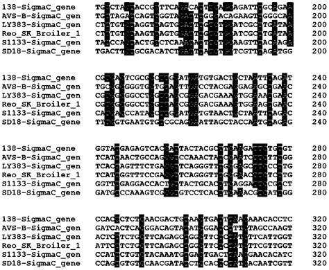 Novel Chicken Reovirus Strain Eureka Patsnap