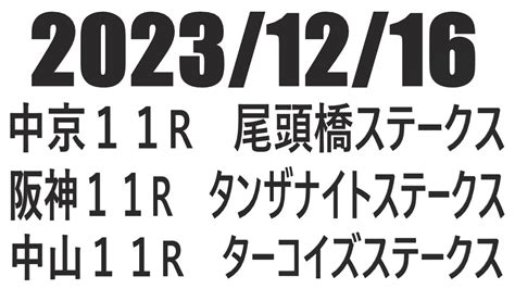 【競馬予想】2023年12月16日 中京11r尾頭橋ステークス 阪神11rタンザナイトステークス 中山11rターコイズステークスの予想と買い目