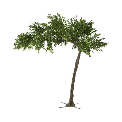 Canopy Tree Themed Props Décor Props Pacific Event Productions