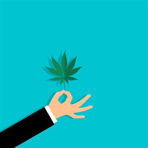 Cracking The Cannabinoid Chart Understanding Different Cannabinoids