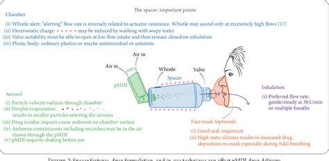 Metered Dose Inhaler Components At Robert Kaiser Blog