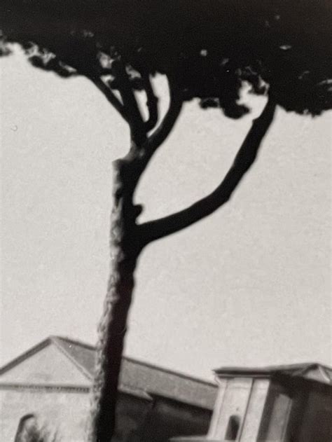 Enlarger Blur Vignette Problem R Analogcommunity