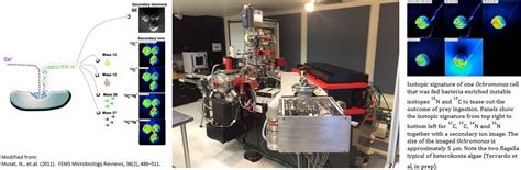 Comparative Functional Analyses Of Mixotrophy Among Microbial Eukaryotes Caron Lab