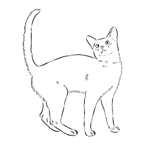 Premium Vector Vector Outline Monochrome Portrait Of Curious