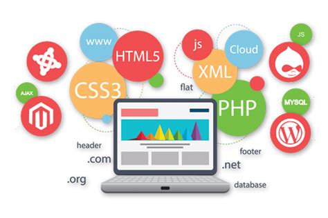 Desarrollo Web DISEÑO WEB INTELIGENTE