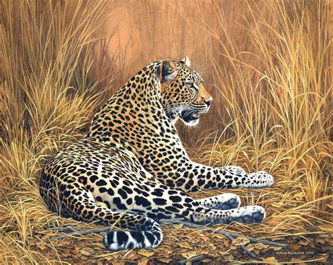Wildlife Art Art Meaning