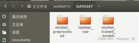 ubuntu下使用nnunet 训练自己的数据集（只管实现，不讲原理，通俗易懂） nnunet训练自己的数据集 csdn博客