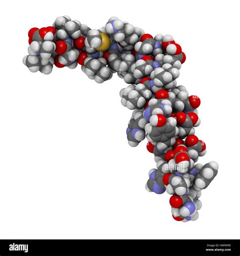 Beta Amyloid Abeta Peptide 3d Rendering Major Component Of Stock