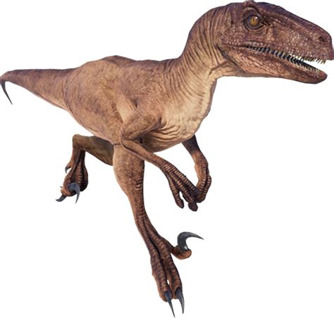 Velociraptor Jurassic World Evolution Wiki Fandom Indominus Rex
